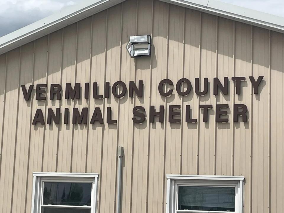 Vermilion Co Animal Shelter Offering “Same Day Adoptions” of Cats and ...