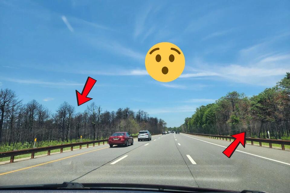 Don't miss this striking new landmark driving down the Parkway - NewsBreak