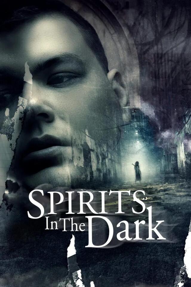 VIPCO & BayView Entertainment Release Horror Film SPIRITS IN THE DARK ...