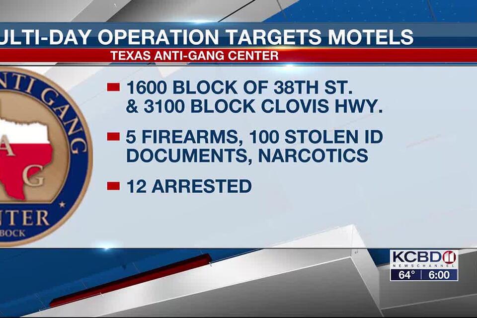 12 gang members now in custody - NewsBreak