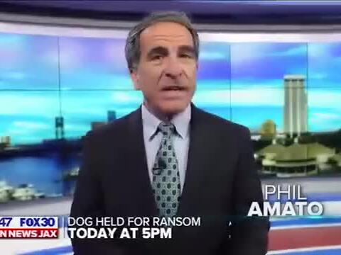 DOG HELD FOR RANSOM: What it took for one man to get his dog and his ...