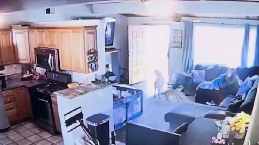 5.2-magnitude earthquake strikes Julian, California, in San Diego ...