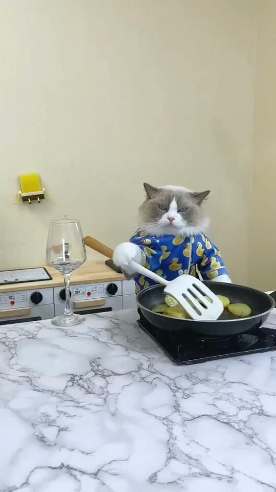 Safety first! Puff shows you how to wrap broken glass safely before ...