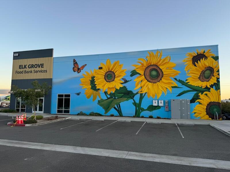 Wide Open Walls Unveils Third Major Mural in Celebration of Elk Grove’s ...