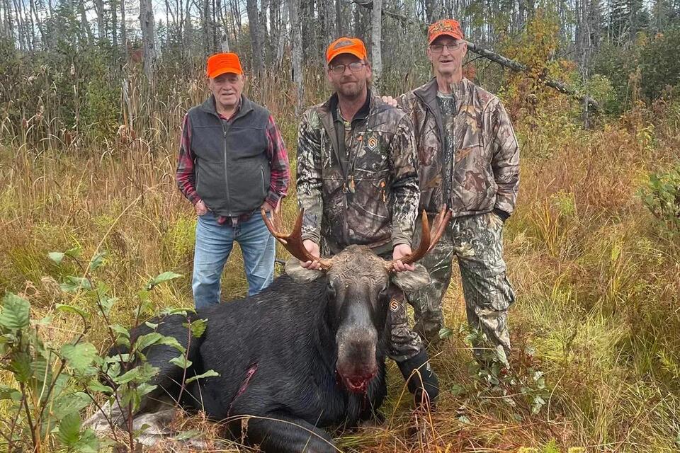 Maine hunter shoots a bull moose with a crossbow at point-blank range ...