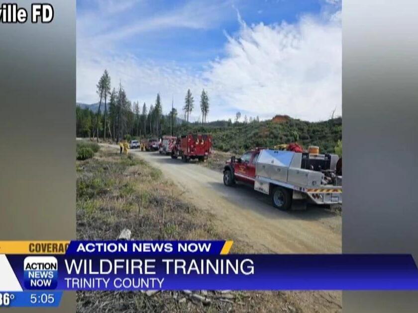 Trinity County fire departments conduct wildland preparedness drill