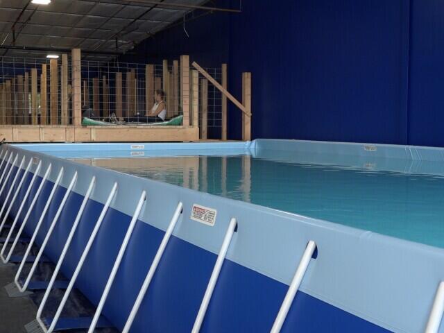 Boise K9 Fitness and Rehab opens the first indoor pool for dogs in the ...