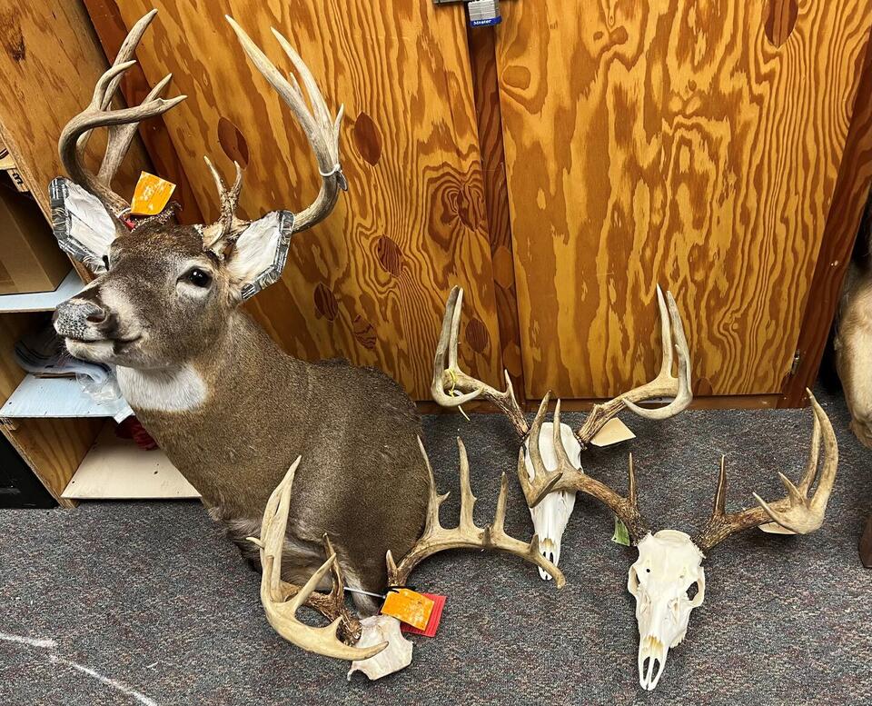 Headless deer in Upstate NY field leads to arrest of prolific poacher ...