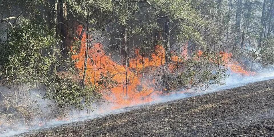 Georgetown County crews contain nearly 800-acre wildfire - NewsBreak