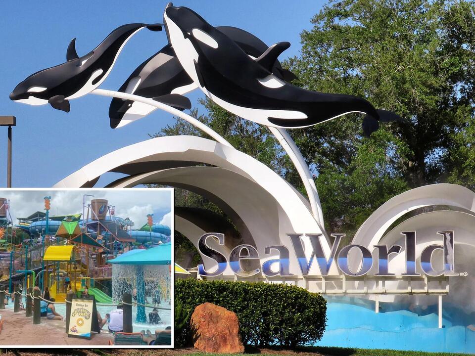 Florida woman sues SeaWorld after another person ‘violently’ collided ...