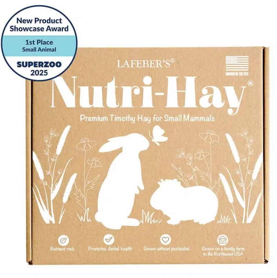 7 Adorable Rabbit-Themed Gifts to Celebrate International Rabbit Day ...