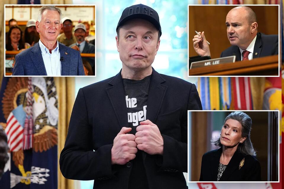 GOP senators push to cement core Musk-inspired DOGE savings at Treasury ...