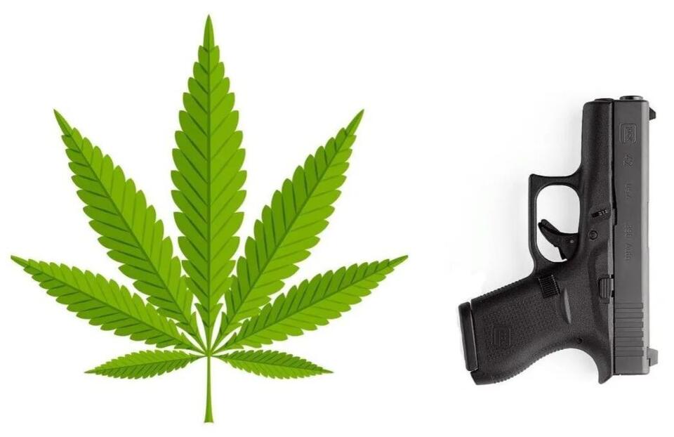 Massachusetts Bill to Protect Gun Rights for Medical Marijuana Patients ...