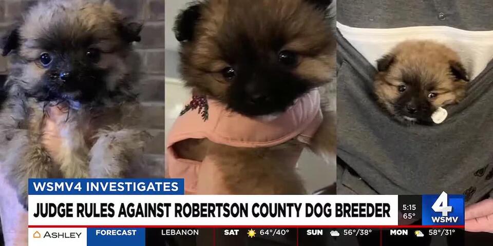 Judge rules against Robertson County dog breeder - NewsBreak