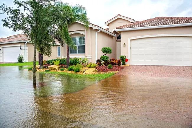 Florida Launches 'Elevate Florida' To Help Homeowners Fight Flooding ...