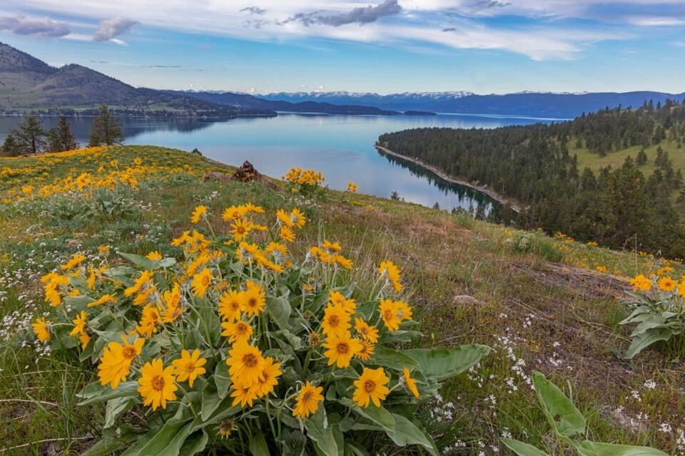 The 5 Largest State Parks in Montana - NewsBreak