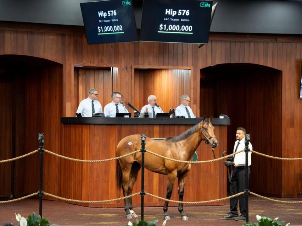 OBS March Sale Concludes With Record Gross, Ties Mark For Most Seven ...