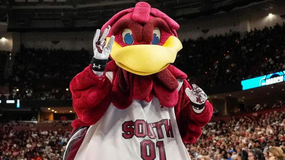 South Carolina Gamecocks news update from the last week in Columbia ...