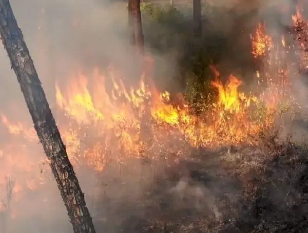 Plant City Brush Fire Engulfs Vehicles, Boats, And Structures - NewsBreak