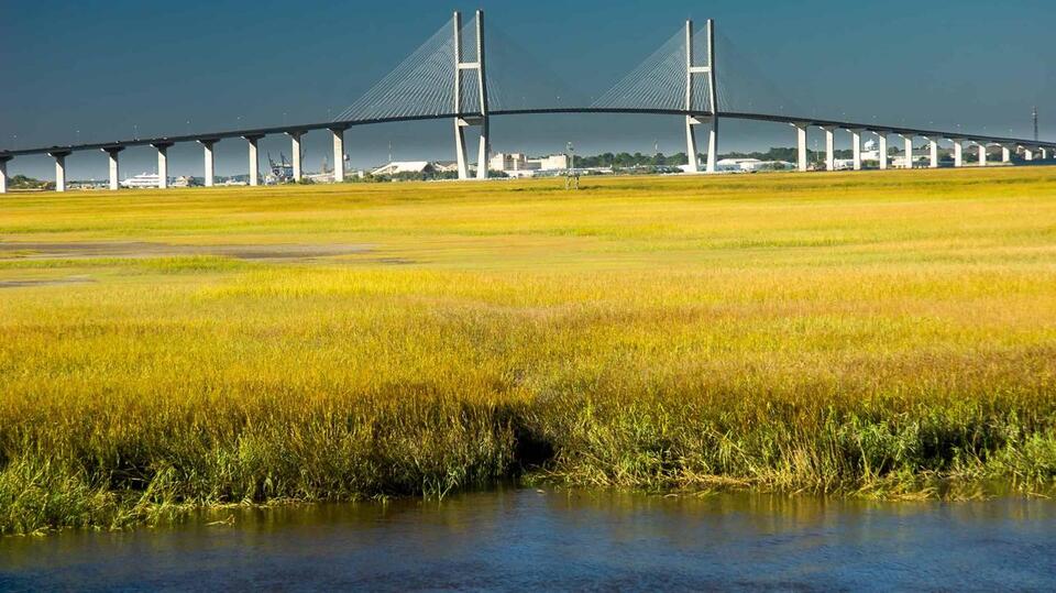 The 5 Highest Bridges in Georgia Are Towering Mammoths - NewsBreak