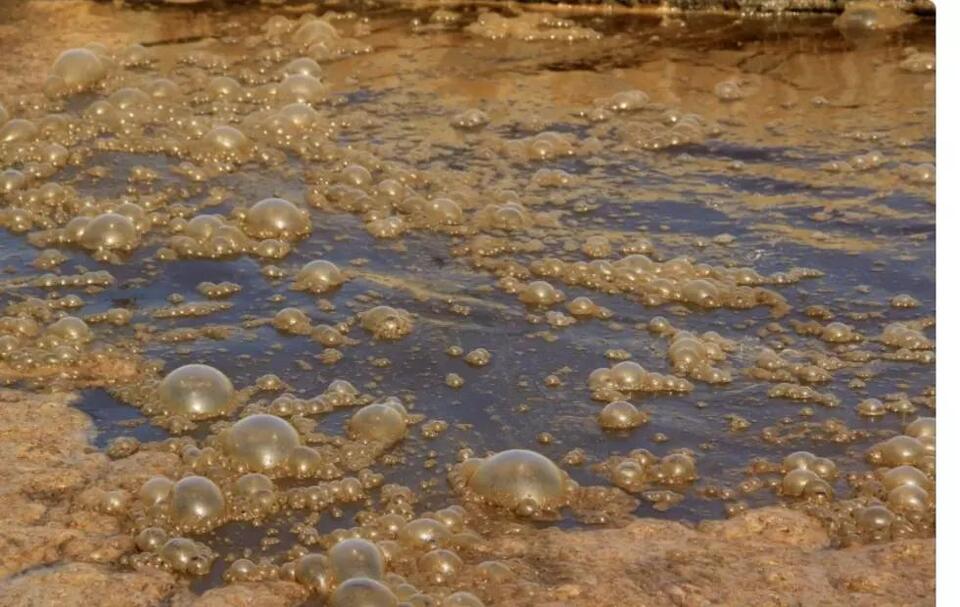 New York Beach Named “Bacteria Hotspot” in Alarming New Report - NewsBreak