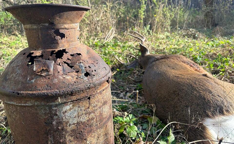 Wisconsin gun deer season underway with bigger herd, fewer hunters ...