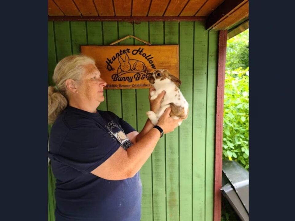 150 rabbits need somebunny to love them as Central NY shelter closes