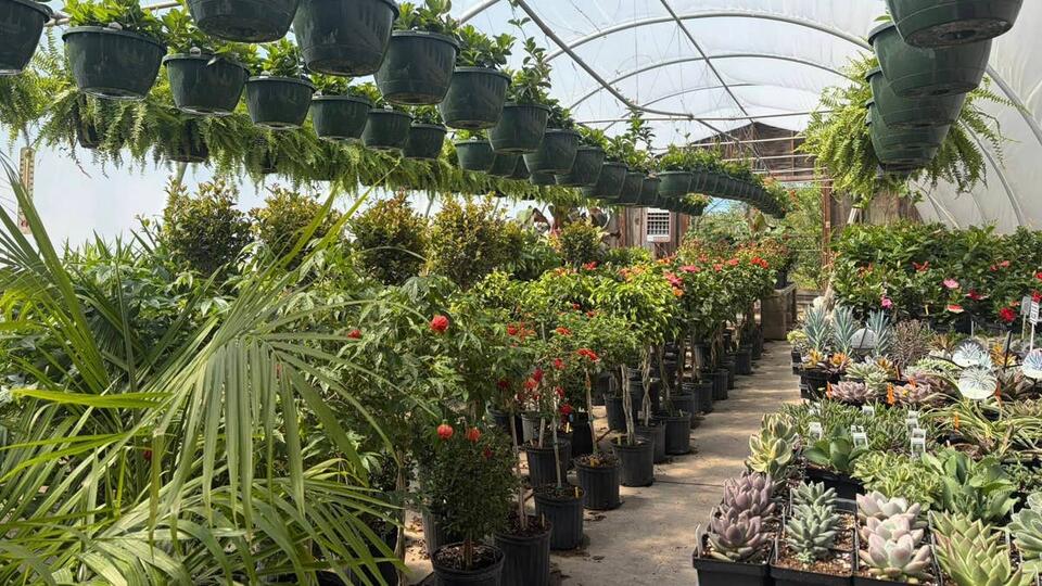 Gerten's Farm Market to end 43-year run after 2026 season - NewsBreak
