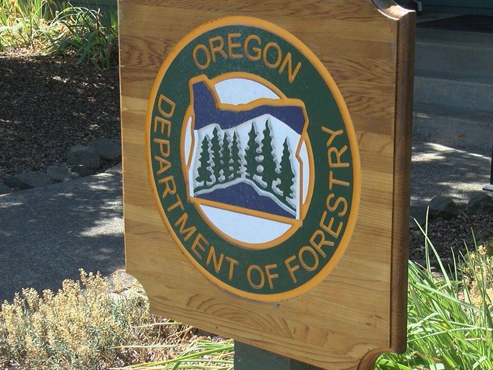 Lane, Benton counties to receive ODF wildfire prevention funding