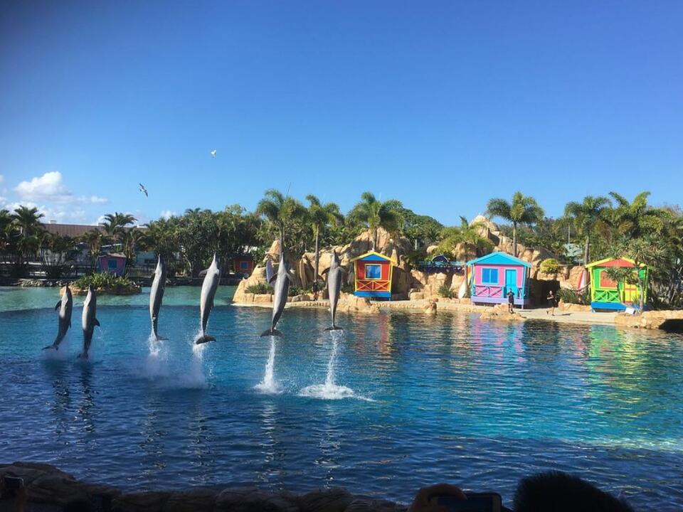 29 Facts About 63 SeaWorld