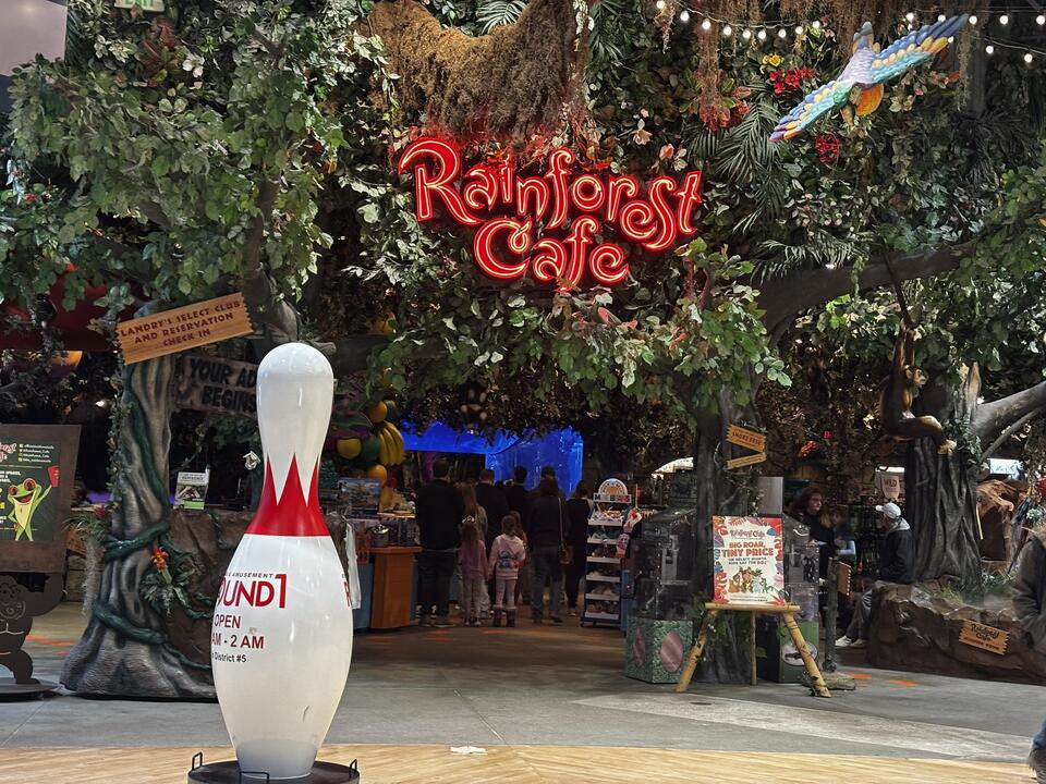 Michigan’s Rainforest Cafe Is A Relic From A Different Time - NewsBreak