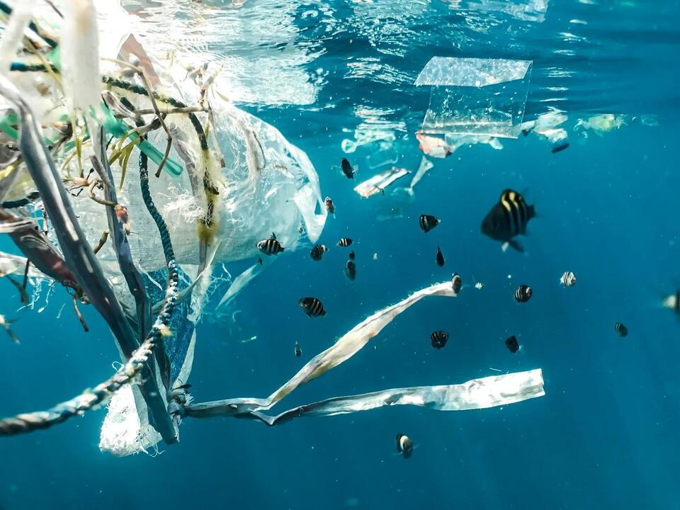 What’s the Deal With Plastic? Understanding Plastic Pollution and How ...
