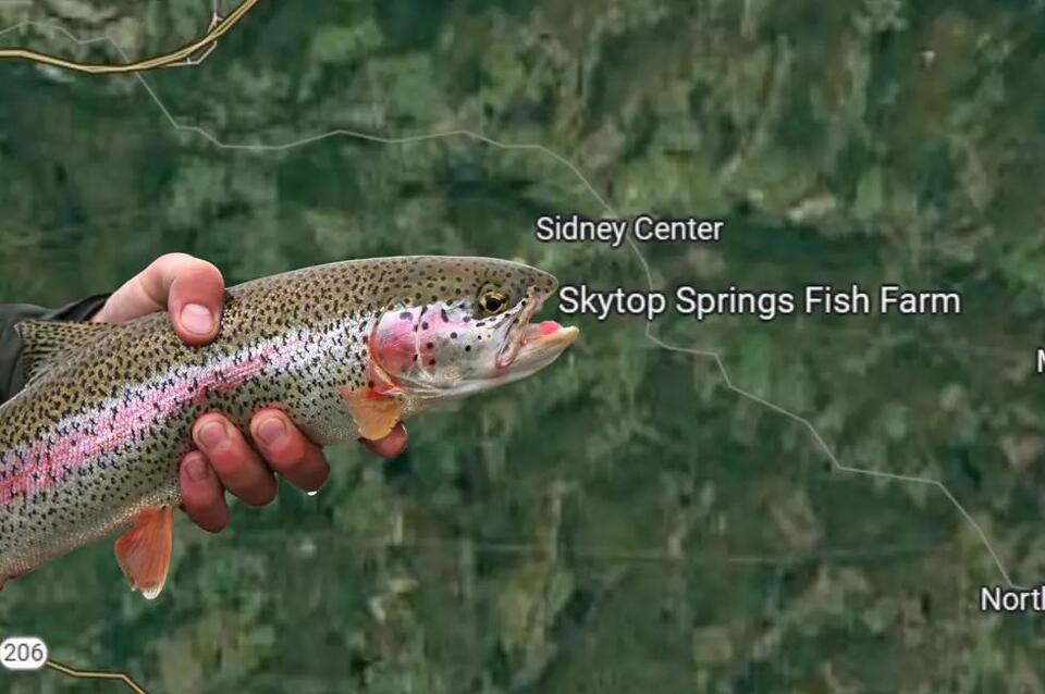 Sidney, New York Fish Farm Embraces 100% Sustainability - NewsBreak