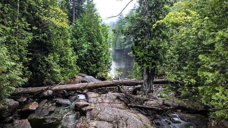 10 Deadliest National Parks in America And What Makes Them So Dangerous ...