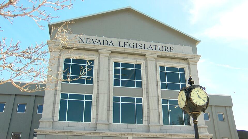 Nevada democrats hold virtual town hall ahead of Special Session of ...