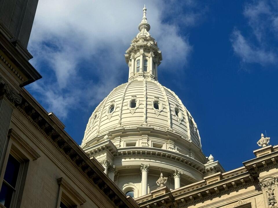 Michigan Senate clears legislation to secure reproductive health data ...