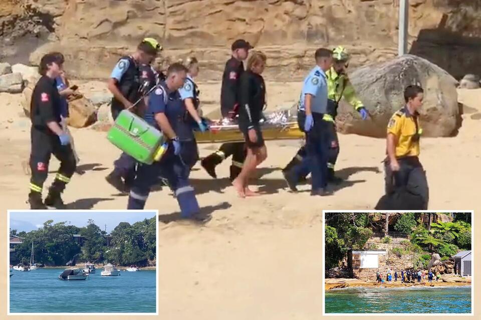 Shark attack at Australian beach leaves woman with severe leg injuries ...