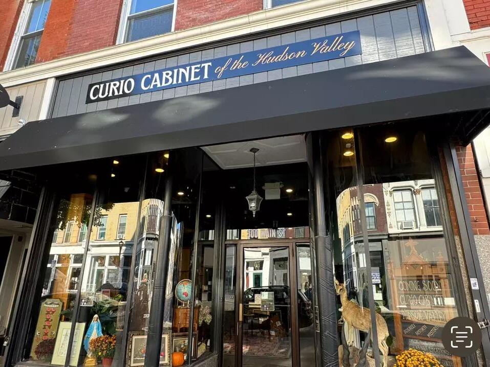 New Oddities Shop Opens in City Of Poughkeepsie
