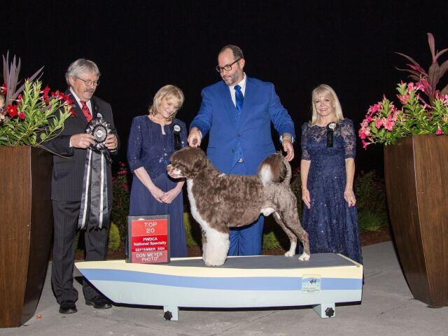 Georgetown dog and owner headed to 'pinnacle' of dog shows - NewsBreak
