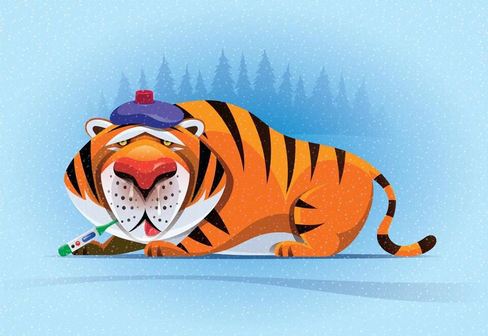 A new disclosure shows, again, how badly Tiger’s ‘spray and pray’ fund ...