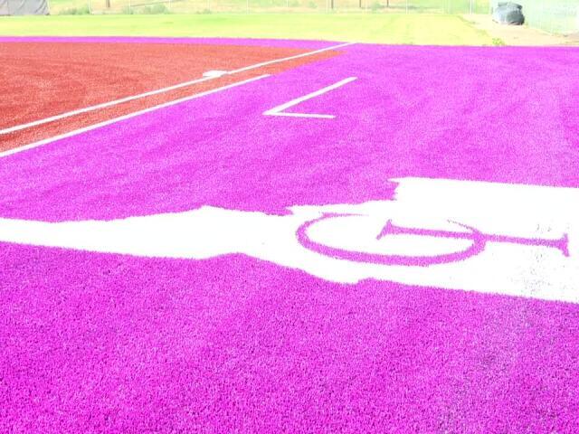 PURPLE TURF: College of Idaho athletes get new turf fields