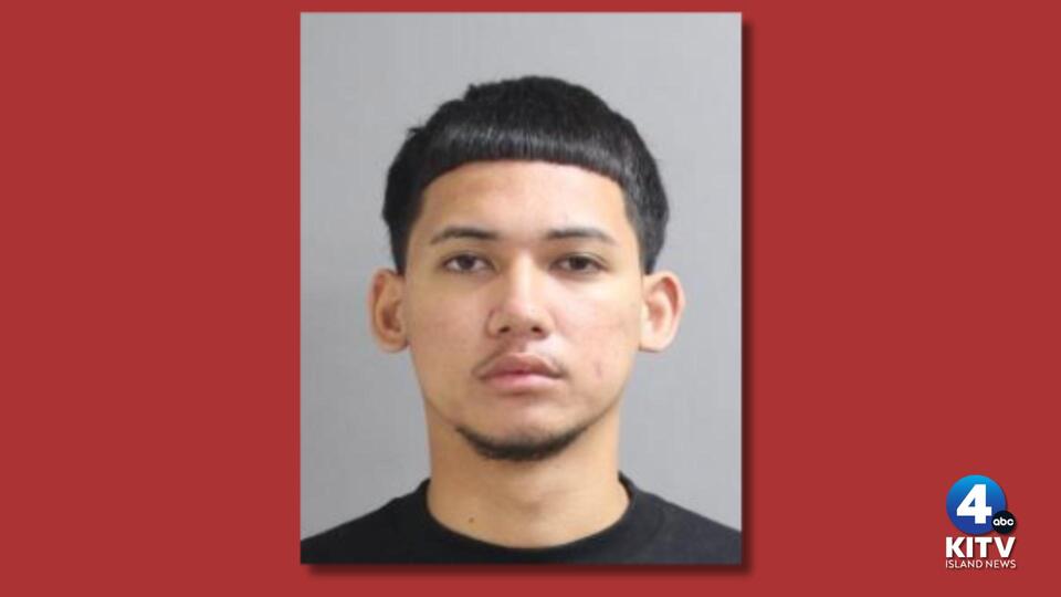 Teen charged in deadly Waianae shooting makes first court appearance ...