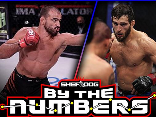 By The Numbers: Andrey Koreshkov vs. Magomed Umalatov