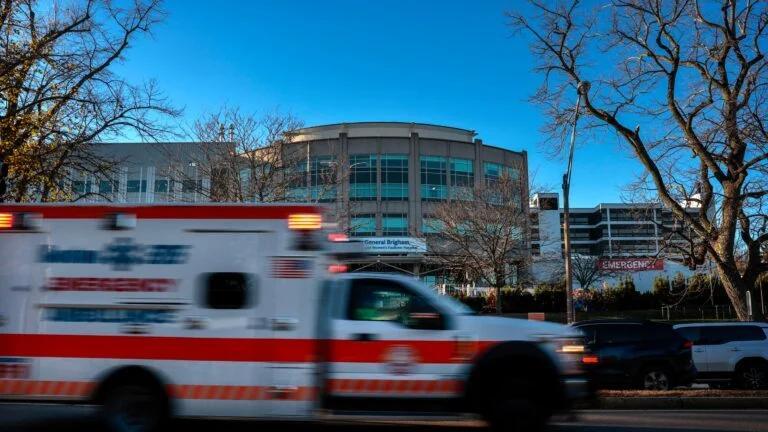 Hunter dies in Connecticut after falling from tree, police say - NewsBreak