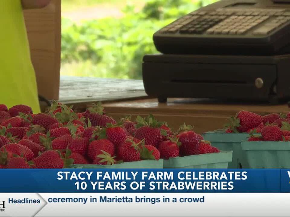 Stacy Family Farm celebrates a decade of Reno strawberries