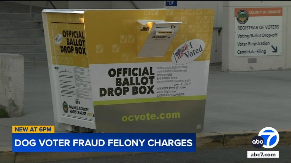 Costa Mesa woman registered her dog to vote and submitted ballots twice ...