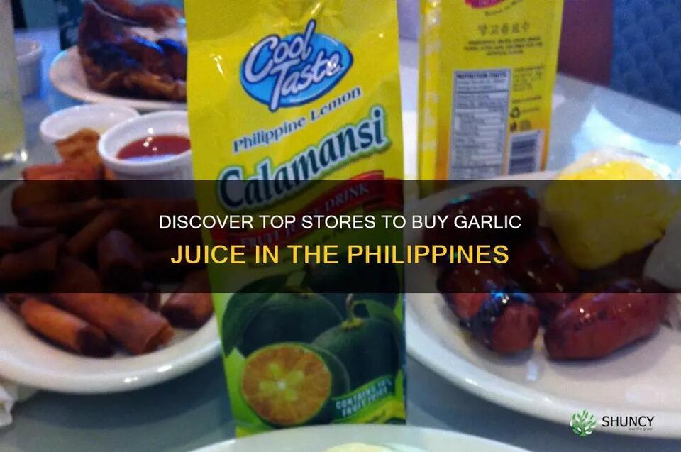 Discover Top Stores To Buy Garlic Juice In The Philippines - NewsBreak