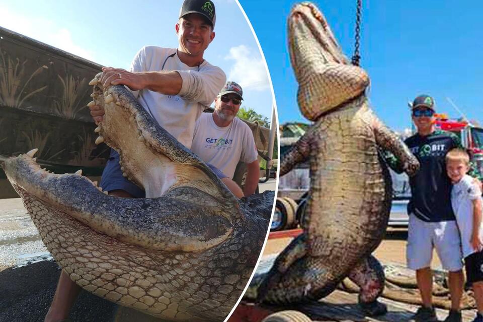 Hunters bag 920-pound ‘dinosaur’ alligator: ‘I thought I was going to ...