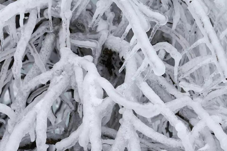 What the Upcoming Crippling Ice Storm Means for New England - NewsBreak