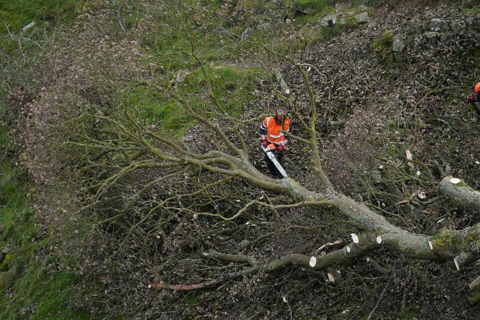 Sycamore Gap timeline: How damage to landmark tree allegedly unfolded ...